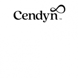 Cendyn | HSMAI Asia Pacific