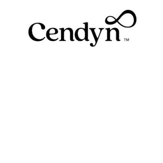 Cendyn | HSMAI Asia Pacific